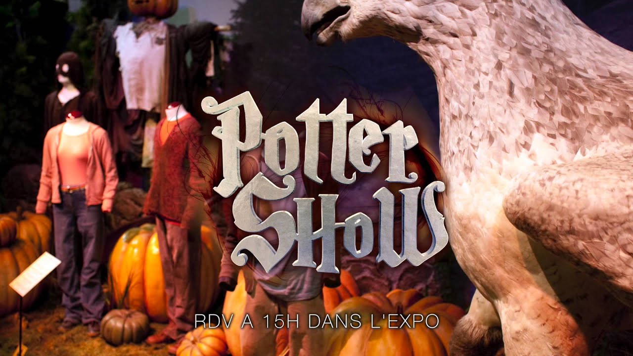 Rencontre Potterhead à l'exposition Harry Potter avec le PotterShow ...