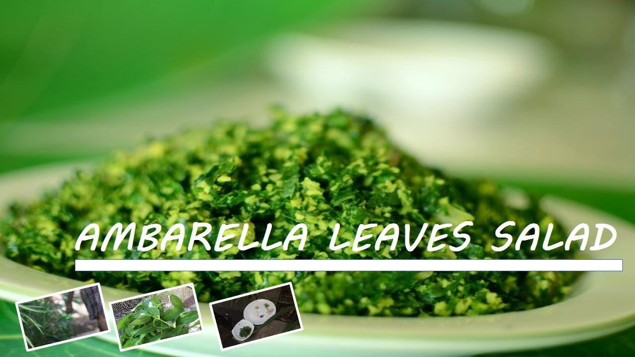 Ambarella Leaves Salad - YouTube