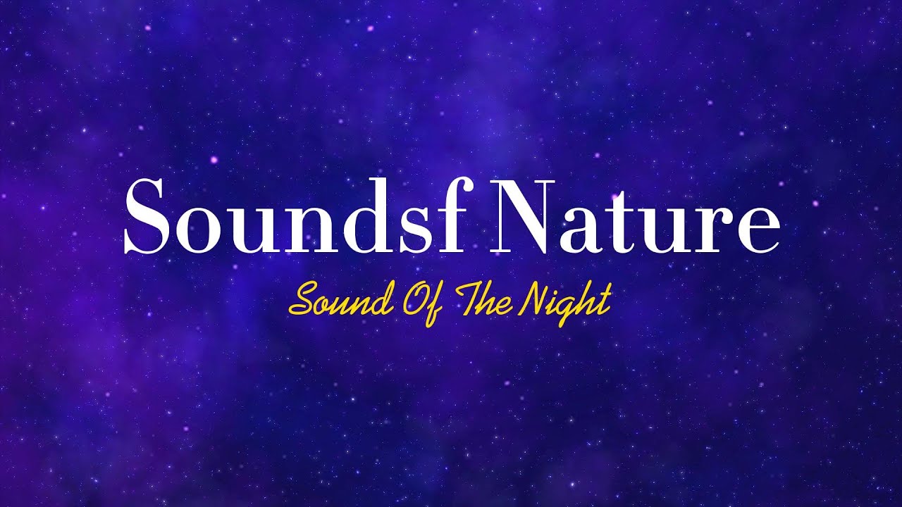 Unveiling the Mysterious Sound of Night - YouTube