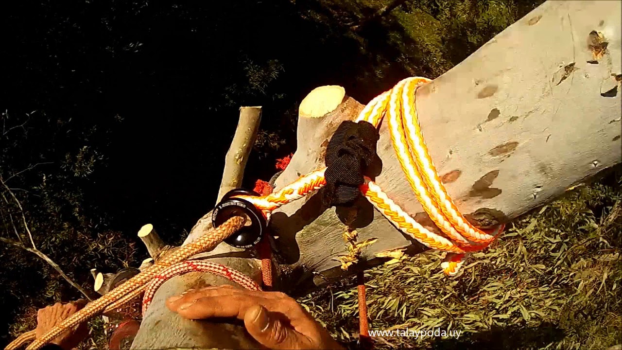 Probando el X-Rigging Ring T-REX de Notch - YouTube