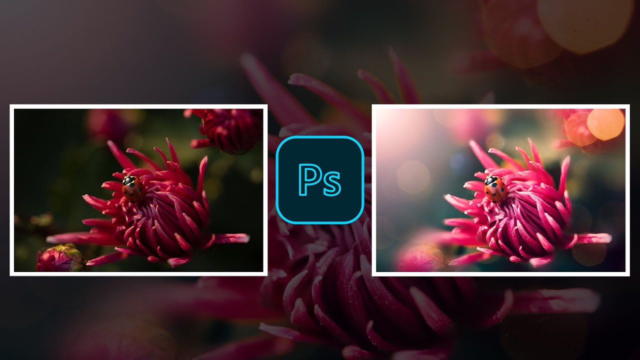 Macro & Flower Photography editing in Camera Raw & Photoshop - YouTube