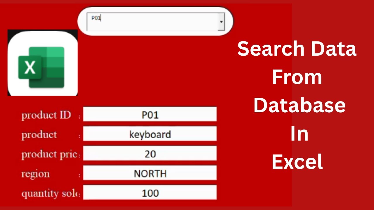 How to search data from database in Excel | Search Box in Excel in English - YouTube