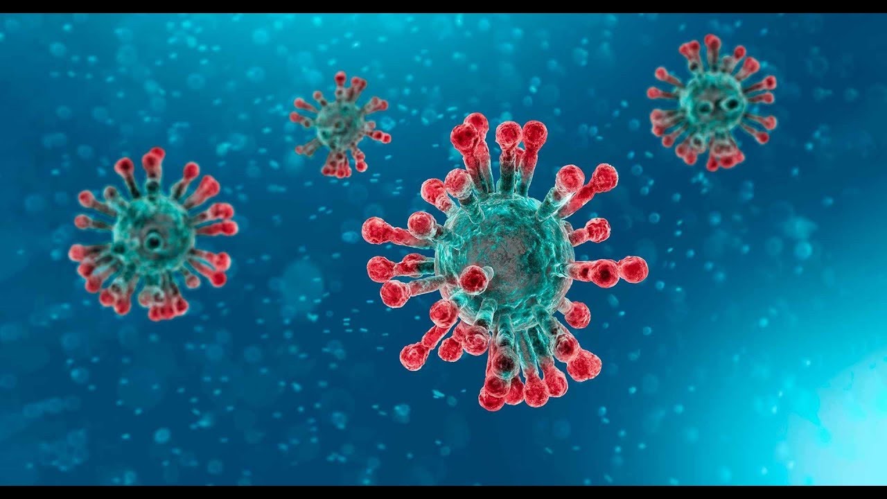 DIOS TE LIBRARA DE LA PESTE DESTRUCTORA ; DEL CORONAVIRUS !!!!!! - YouTube