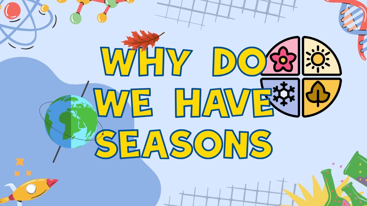 Why Do We Have Seasons | 4 Seasons Explained for Kids | Grade 1 Science ...