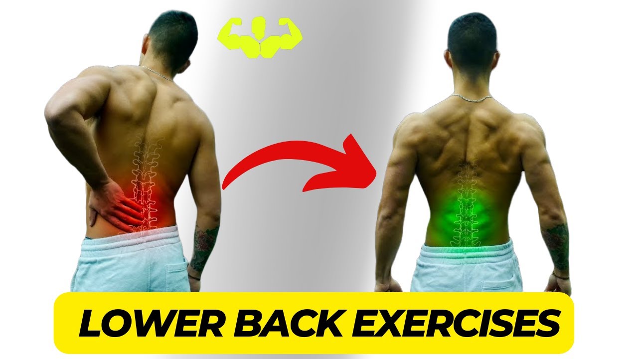 Effective Lower Back Workout (Solve Back Pain Issue) - YouTube