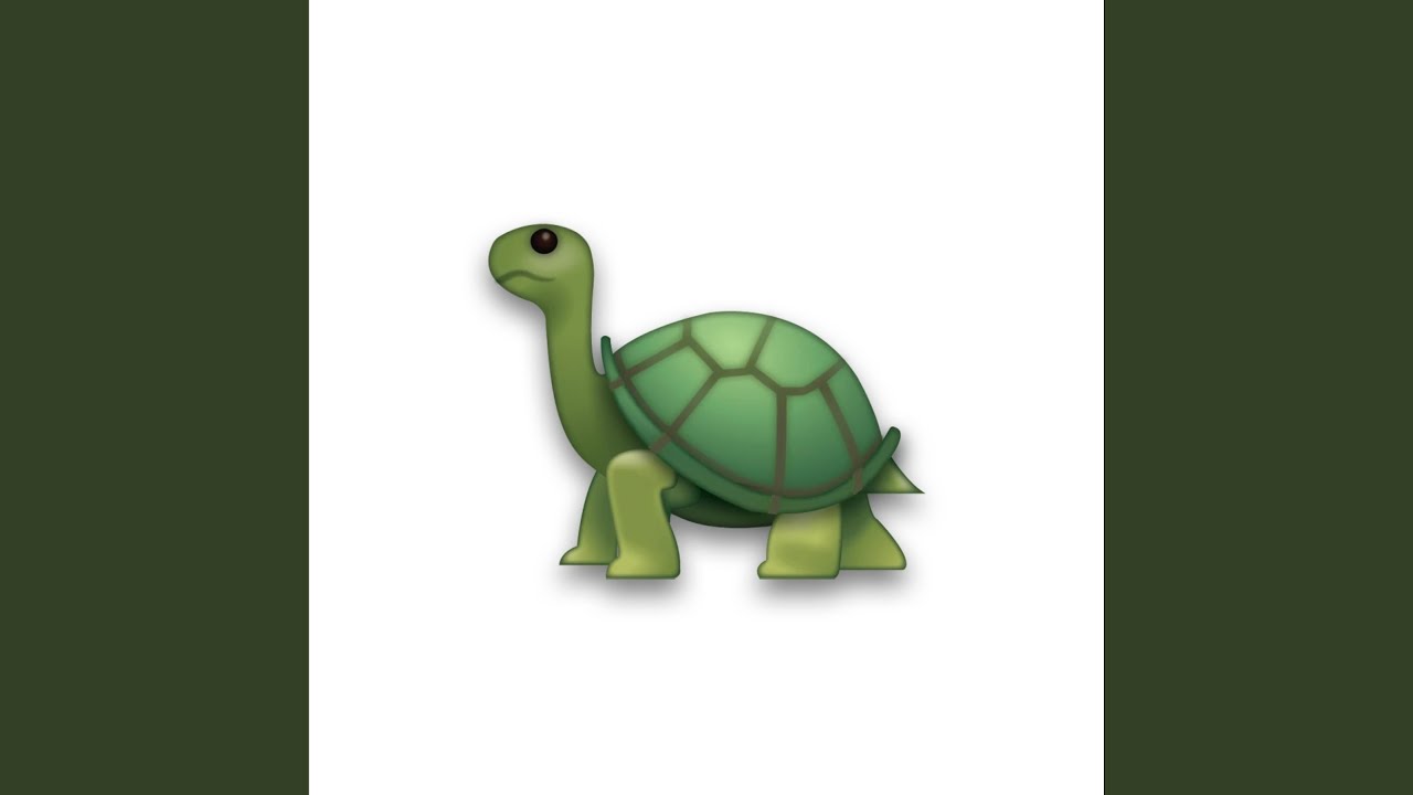Turtleshell - YouTube