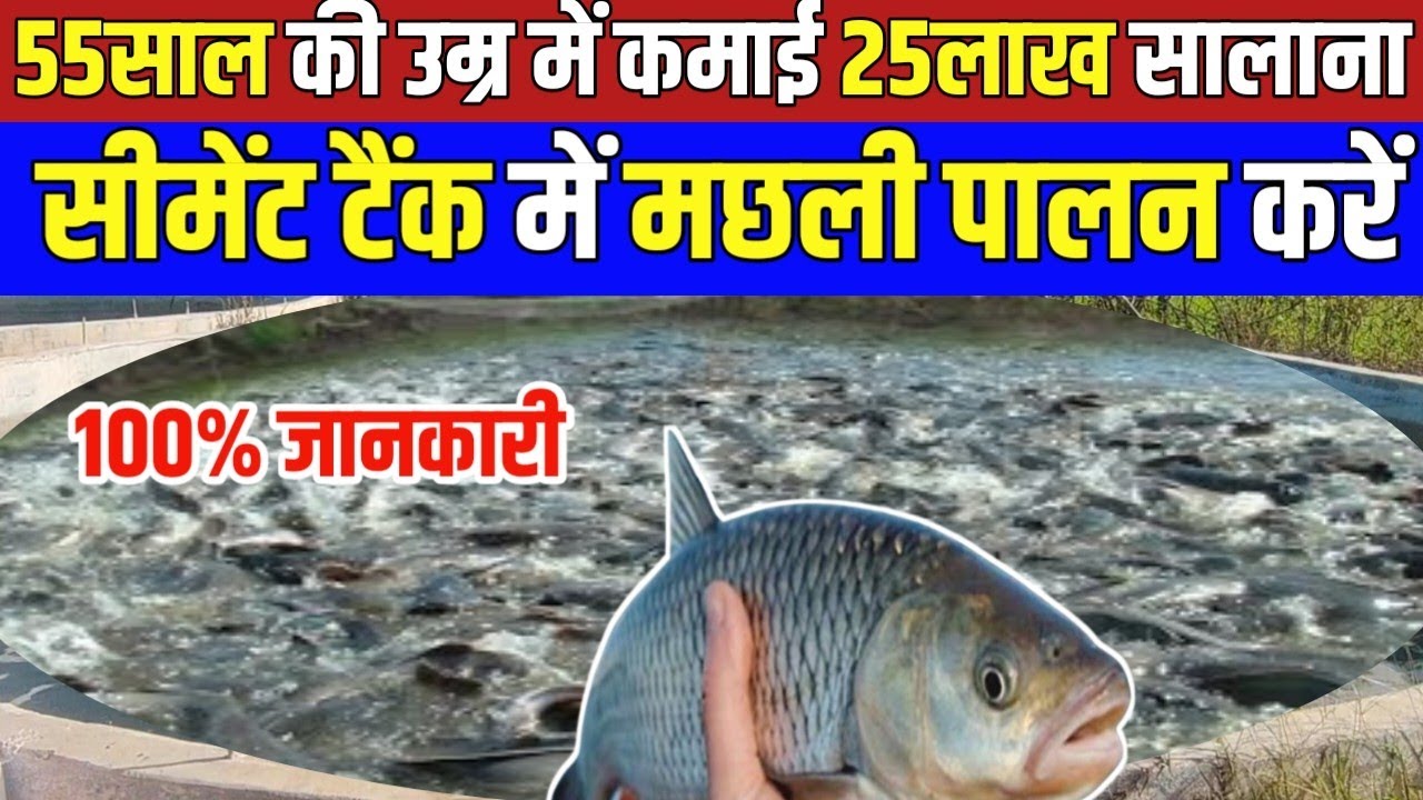 सीमेंट टैंक में मछली पालन | Fish Farming in Cement Tank | biofloc fish ...