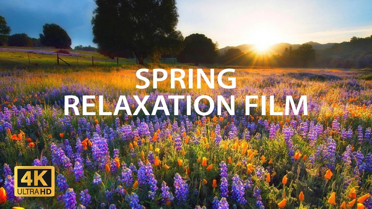 Amazing Colors of Spring 4K Nature Relaxation Film - Relaxing Piano ...