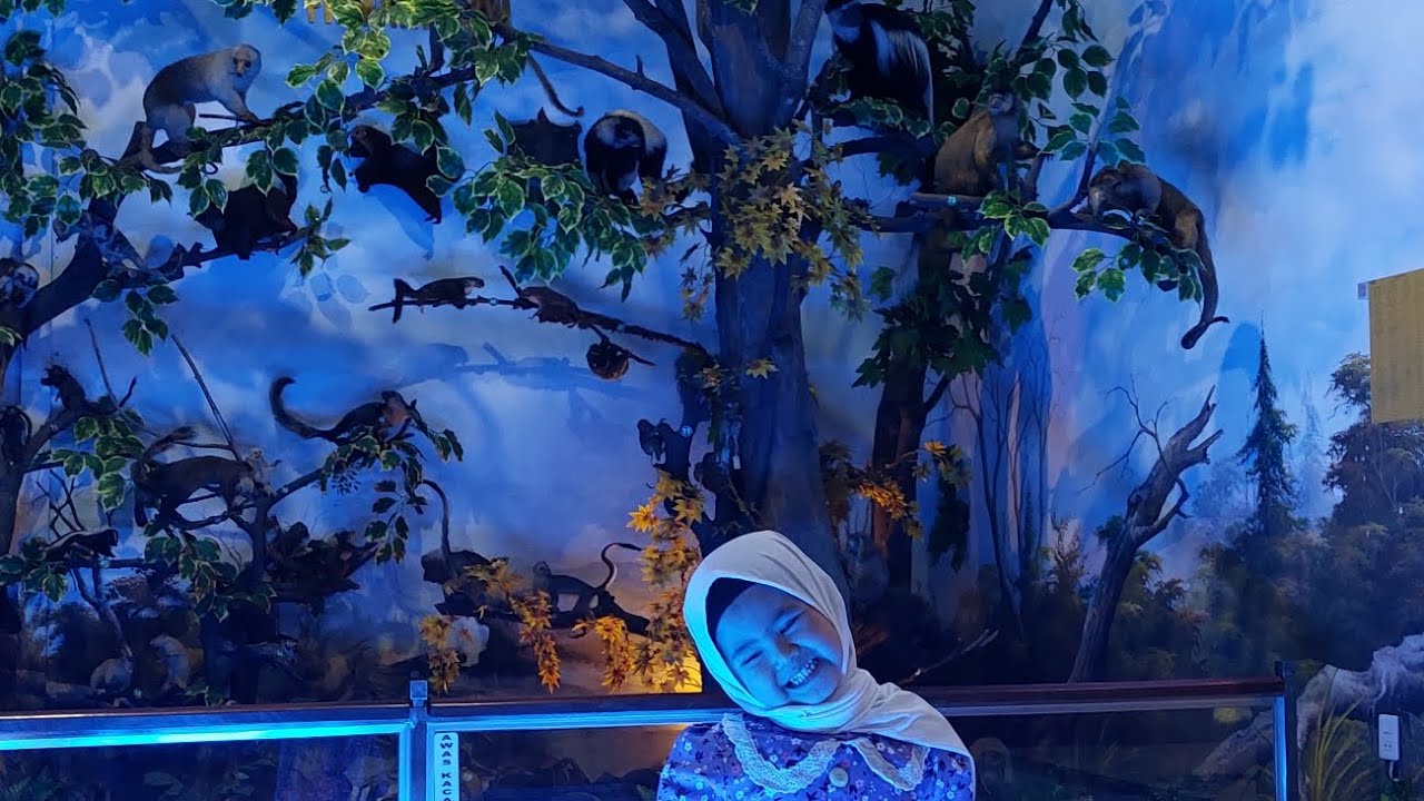 Shovia & Hanif's Play Time - Rahmat International Wildlife Museum and ...