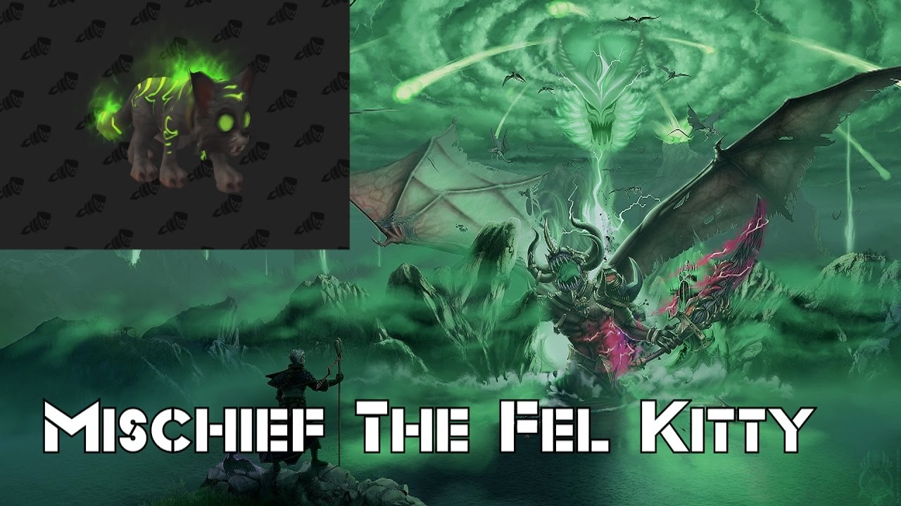 WOW Legion Mischief The Fel Kitty Make A Wish - YouTube