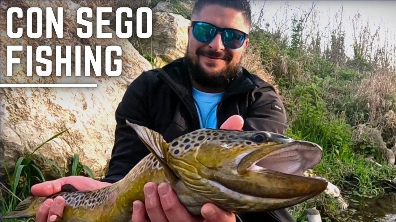 De pesca improvisada. Mañana de truchas de Segovia a Girona. - YouTube