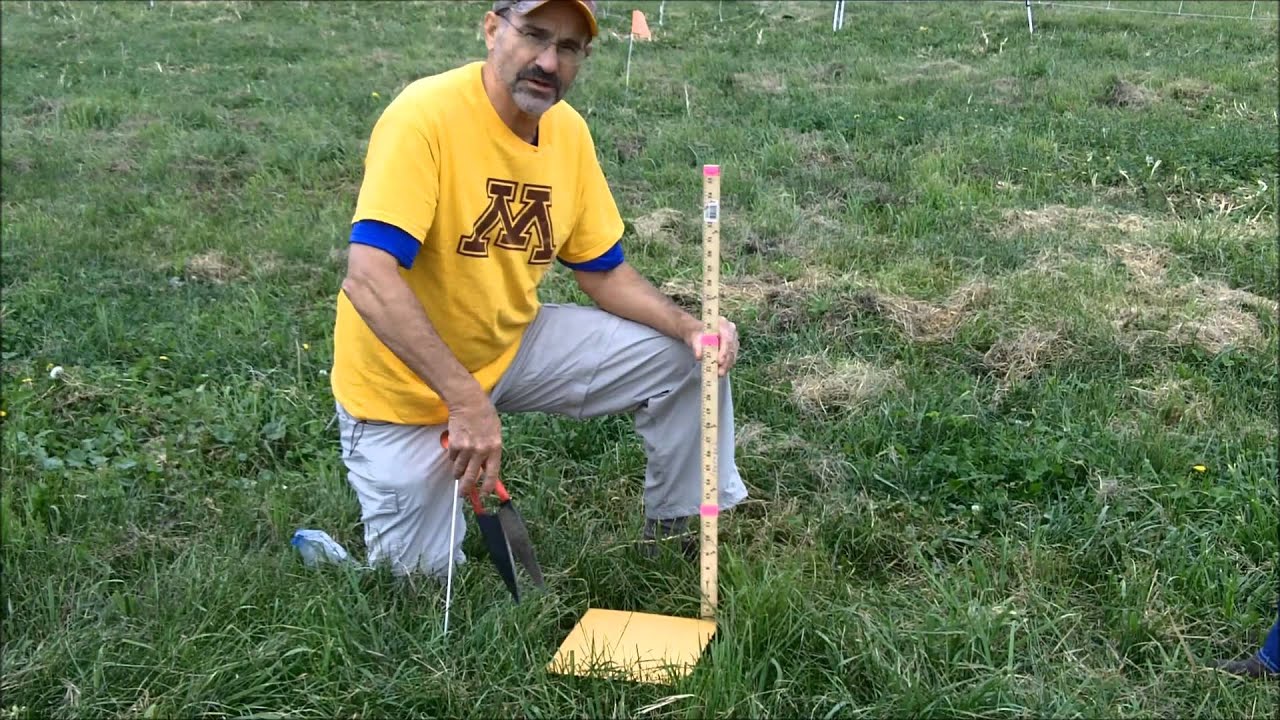 Pasture Sampling - YouTube