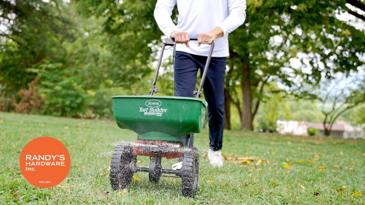 Randy's Fall Lawn Care Guide: Tips and Tricks for Having a Lush and ...