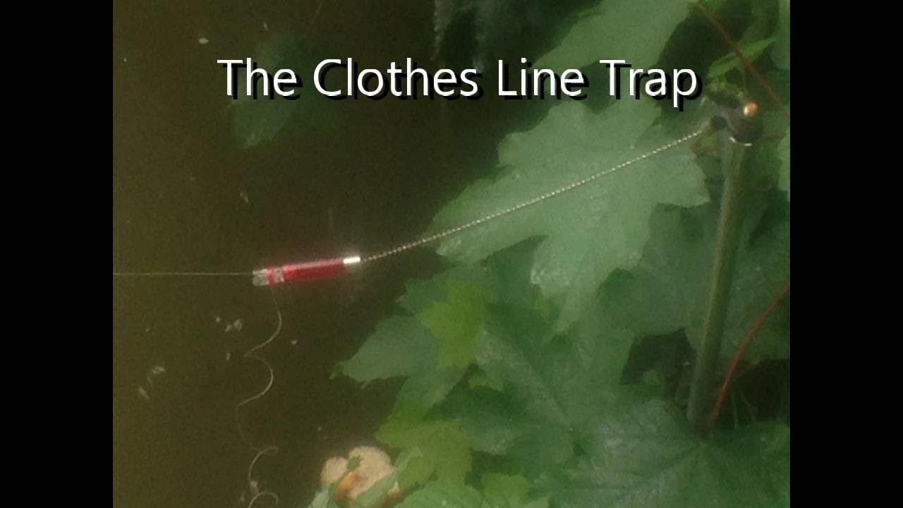 The Clothes Line Trap -for Carp - YouTube