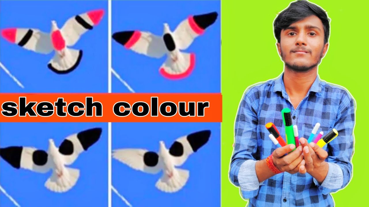 Kabootar ko kaun sa colour Lagate Hai | Kabutar ko karne wala color ...