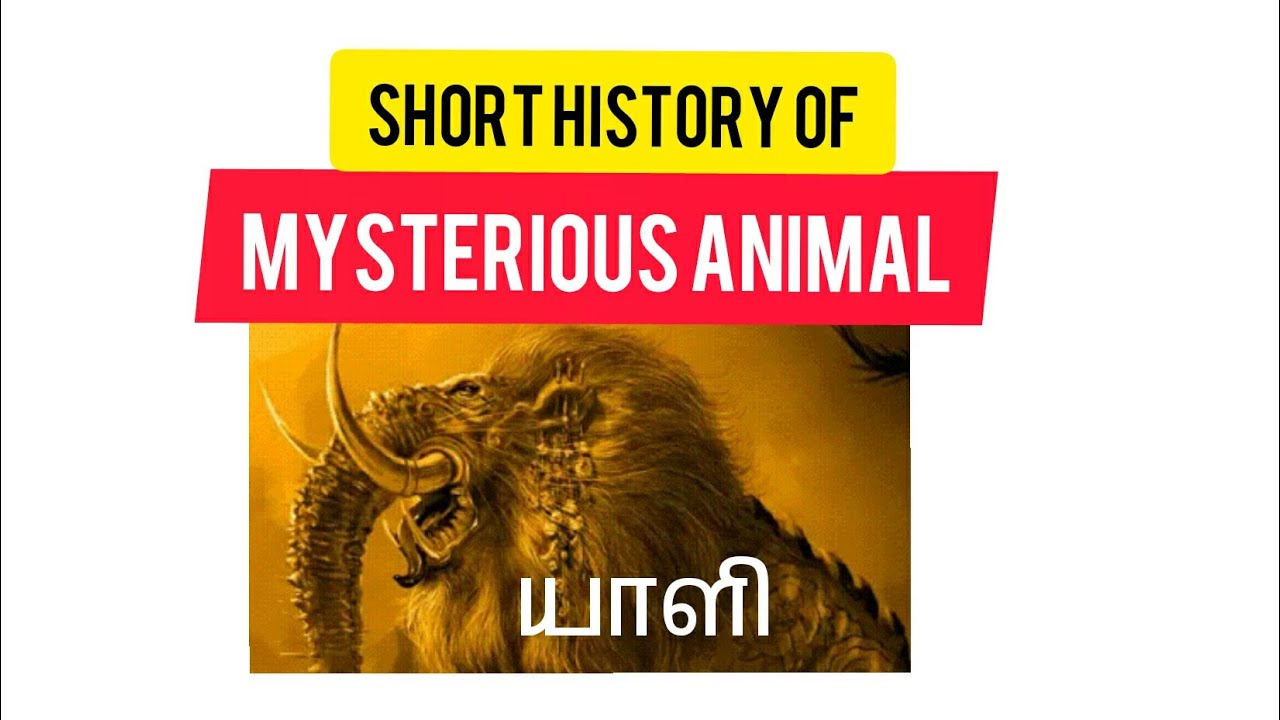 Short history of mysterious animal yazhi in tamil|Yazhi|yali|history of ...