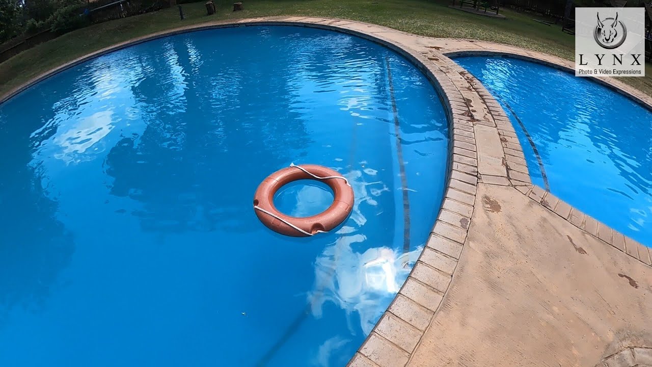 Satara Swimming Pool - Kruger National Park - YouTube
