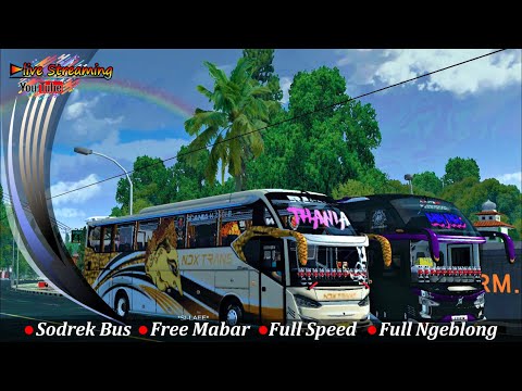 🔴 Multiplayer Bus Suos