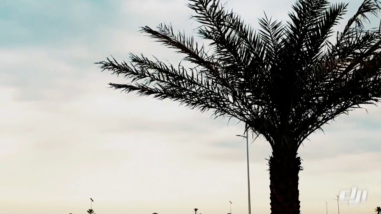 Exploring the beauty of Wakara Beach | Episode #01 - YouTube