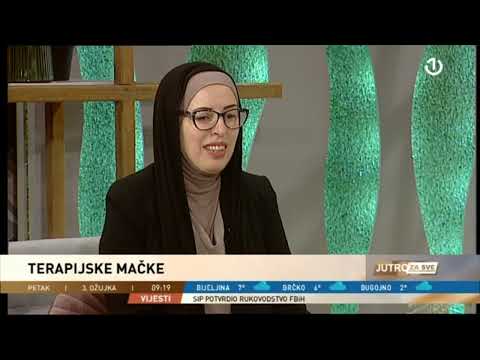 Belma Mujezinović o terapijskim mačkama - YouTube