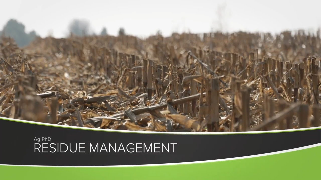 Residue Management (From Ag PhD Show #1173 - Air Date 9-27-20) - YouTube