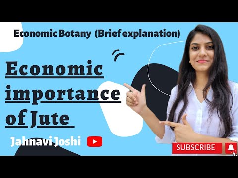 Economic importance of Jute (Notes) - YouTube