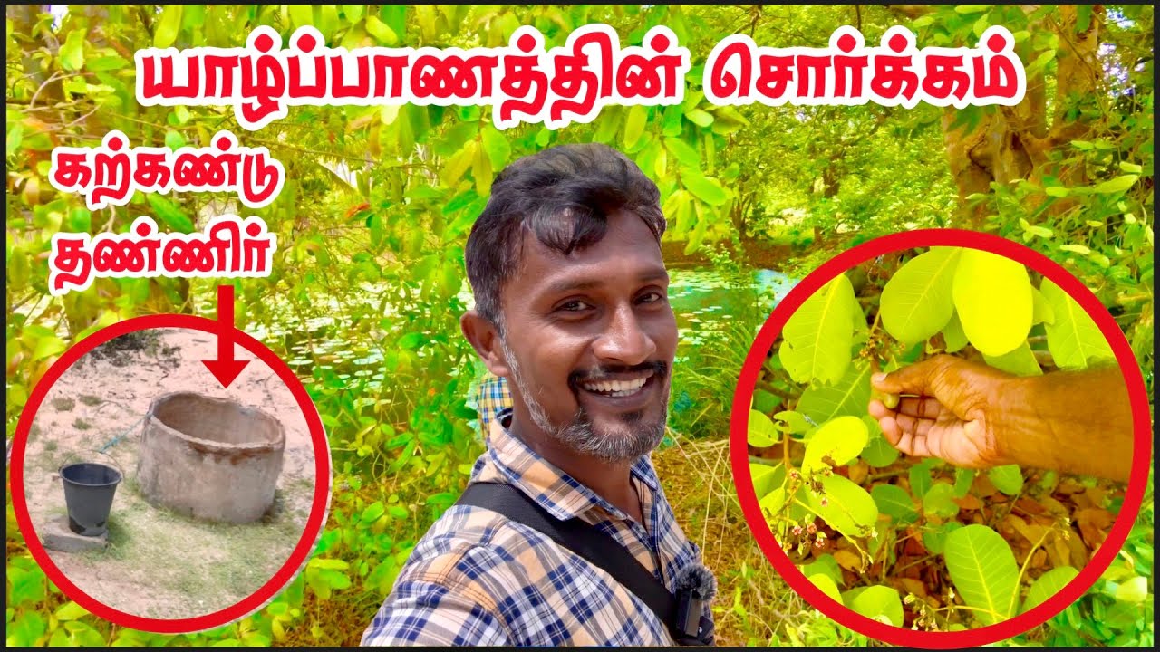 யாழ்ப்பாணத்தின் சொர்க்கம் | அம்பன் Ampan - YouTube