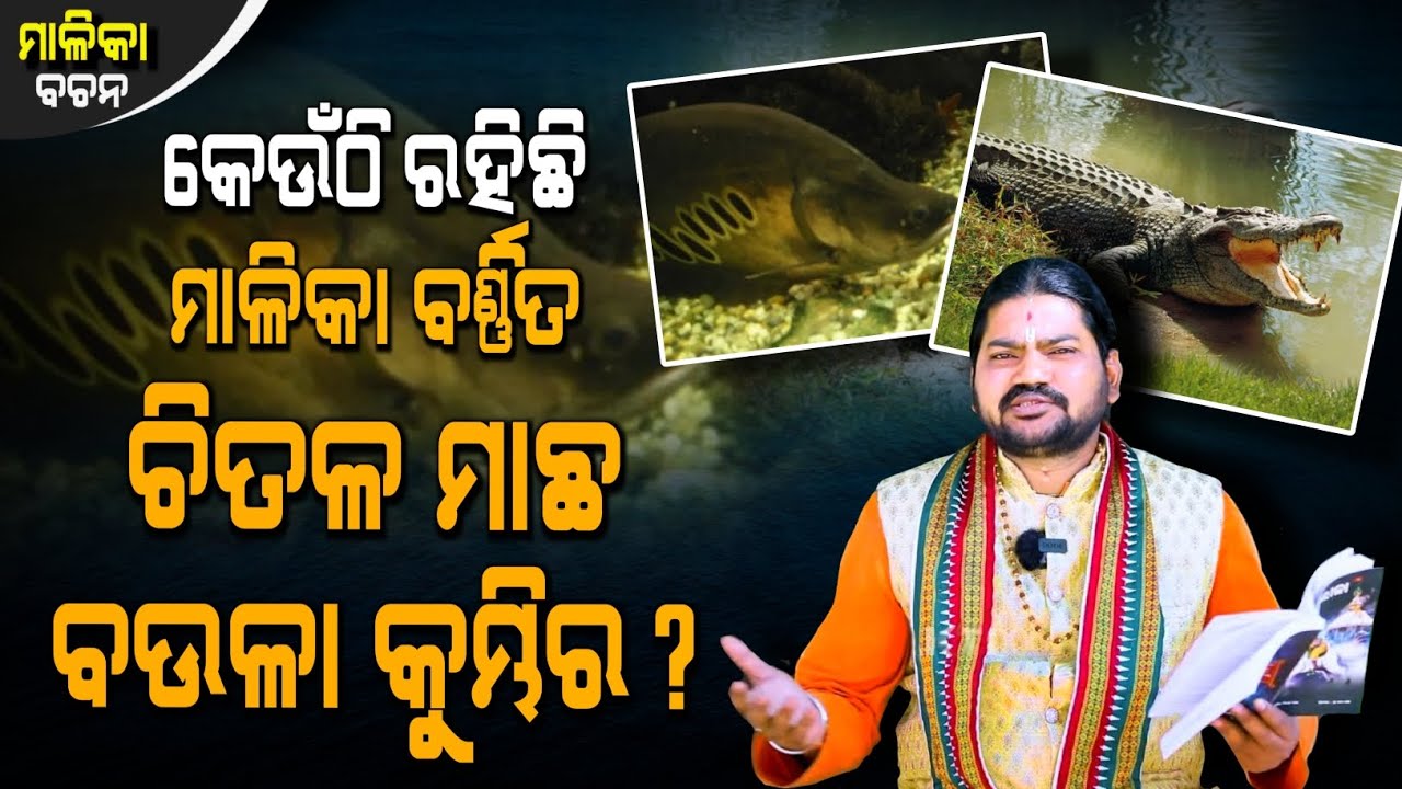 KENUTHI RAHICHI MALIKA BARNITA CHITALA MACHA BAULA KUMBHIRA ? || କେଉଁଠି ...