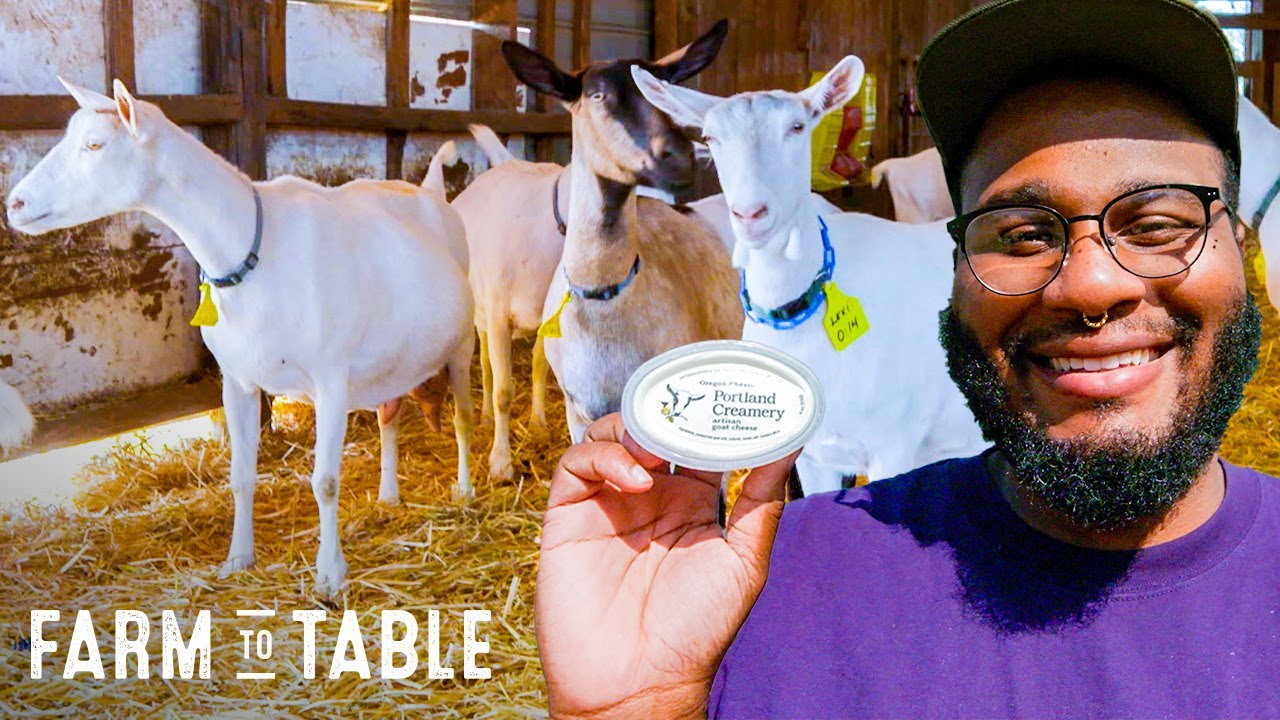 How Goat Cheese Is Made On A Farm & How To Cook With It | Farm To Table ...