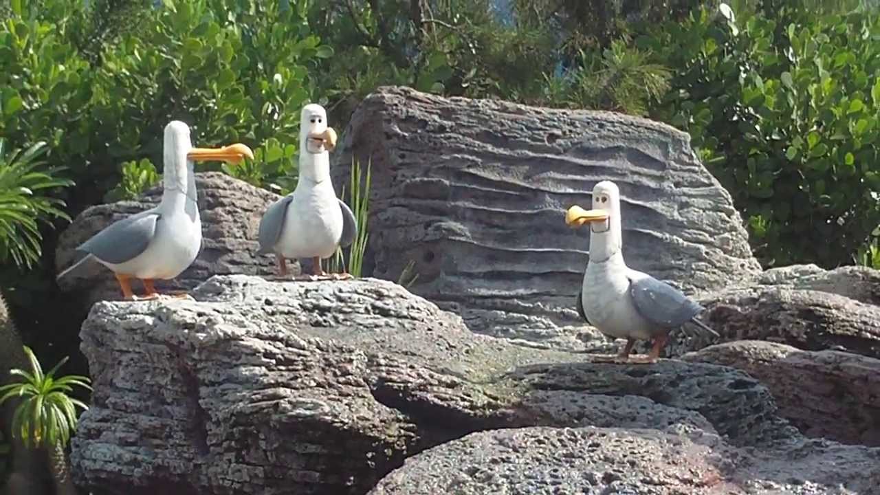 Finding Nemo Seagulls At Epcot Aug 2009 FL - YouTube