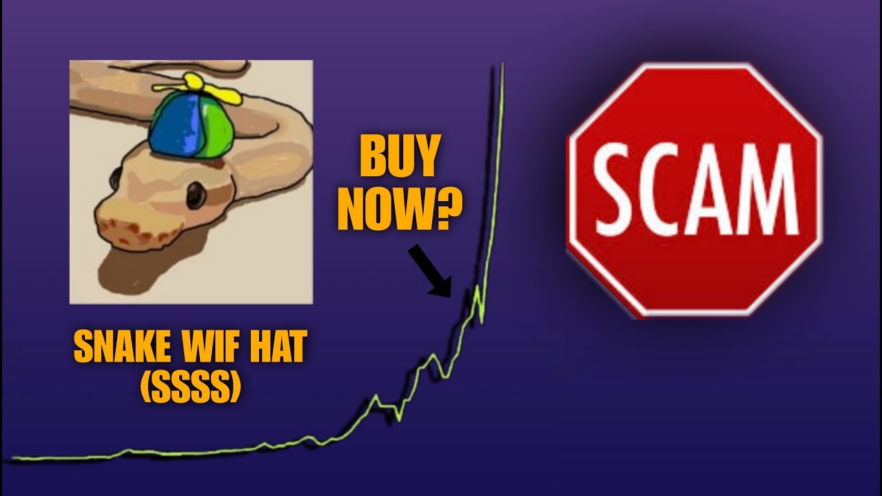 Buy Snake Wif Hat? ⚠️ SSSS Crypto Token Analysis - YouTube