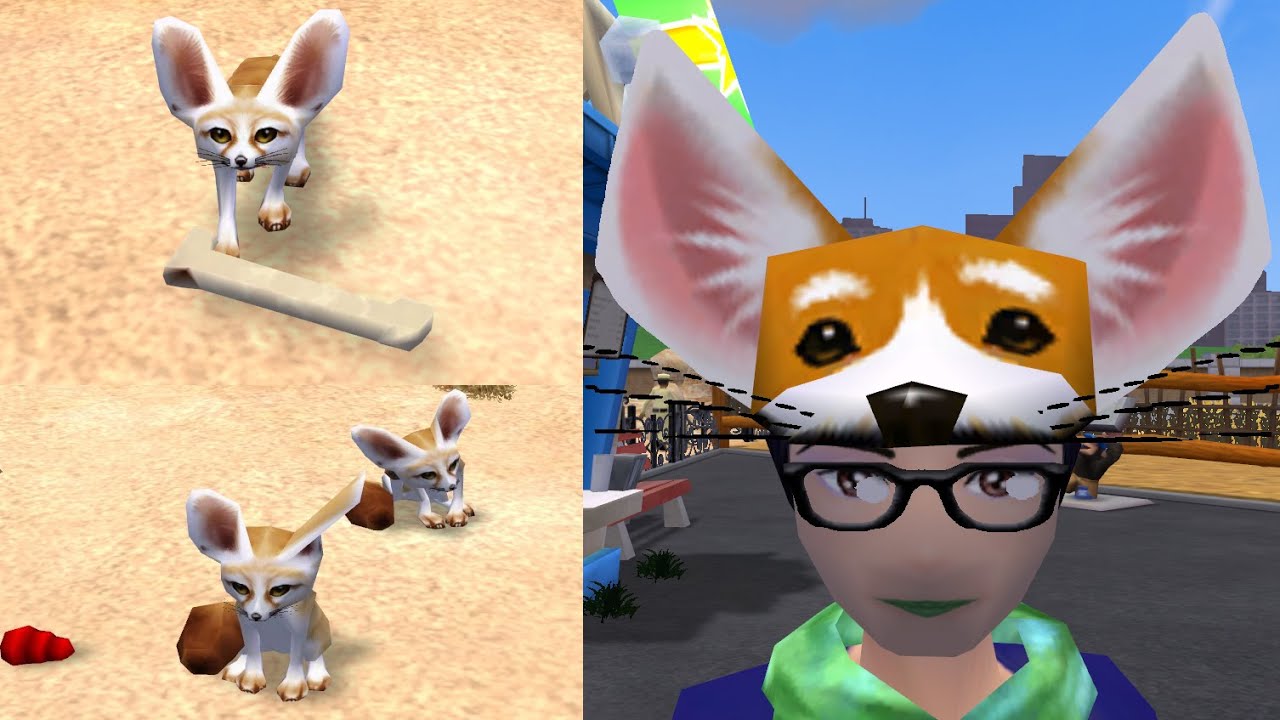 Scary Fennec Foxes!!! Zoo Tycoon 2 Freeform - YouTube