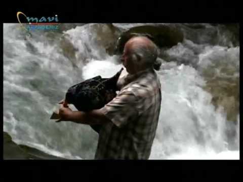 Gökhan Birben - Samistal.ts