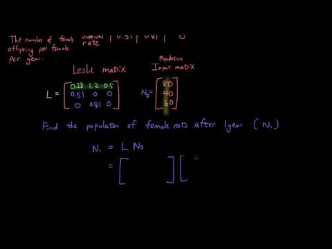 Real-life applications of Matrices - Leslie Matrix Model