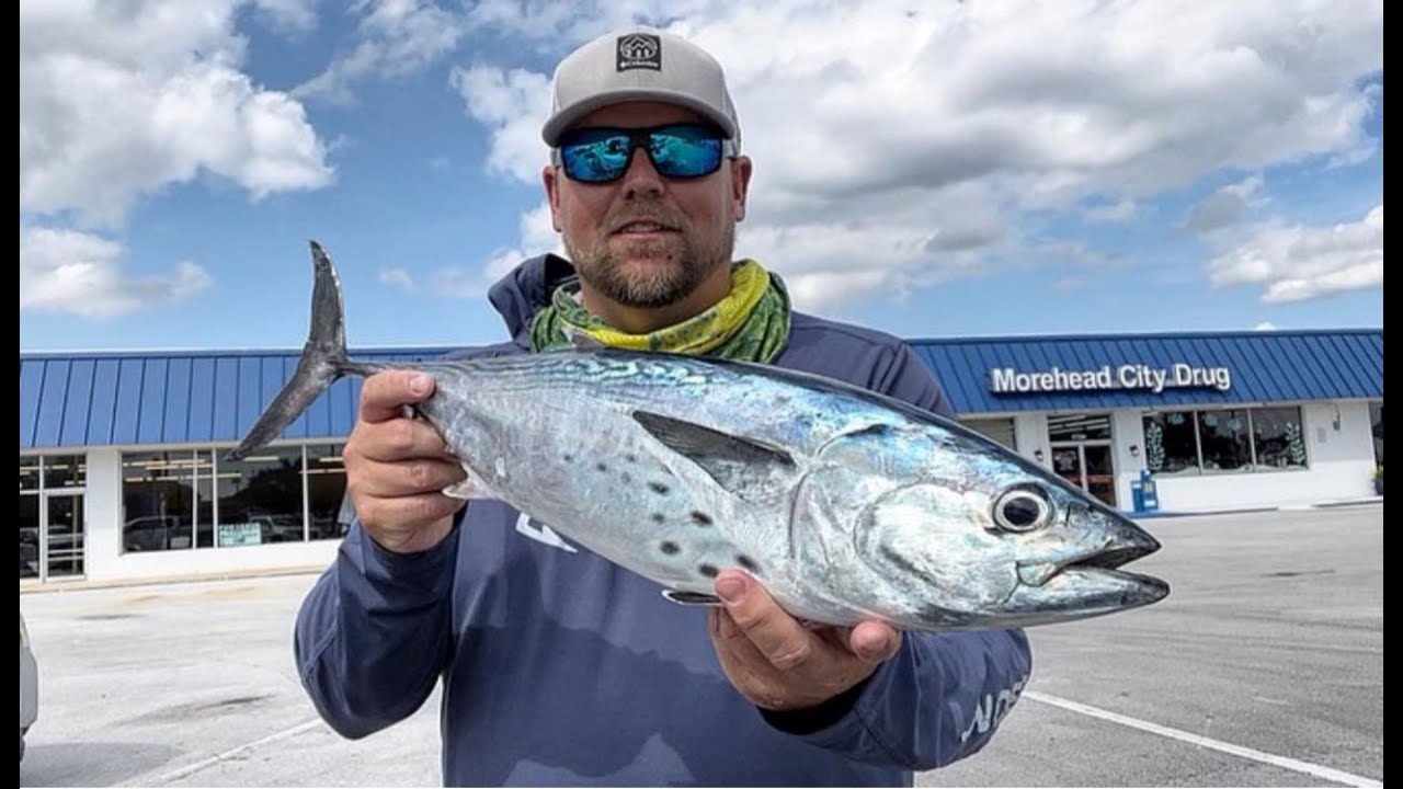 INSANE False Albacore/Bonita frenzy out of the Beaufort Inlet. "Chasing ...