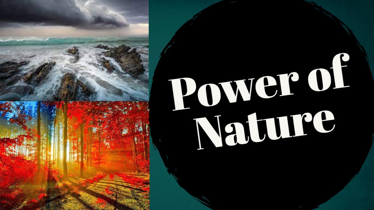 The power of Nature | When Nature Goes Wild | Part 1 - YouTube