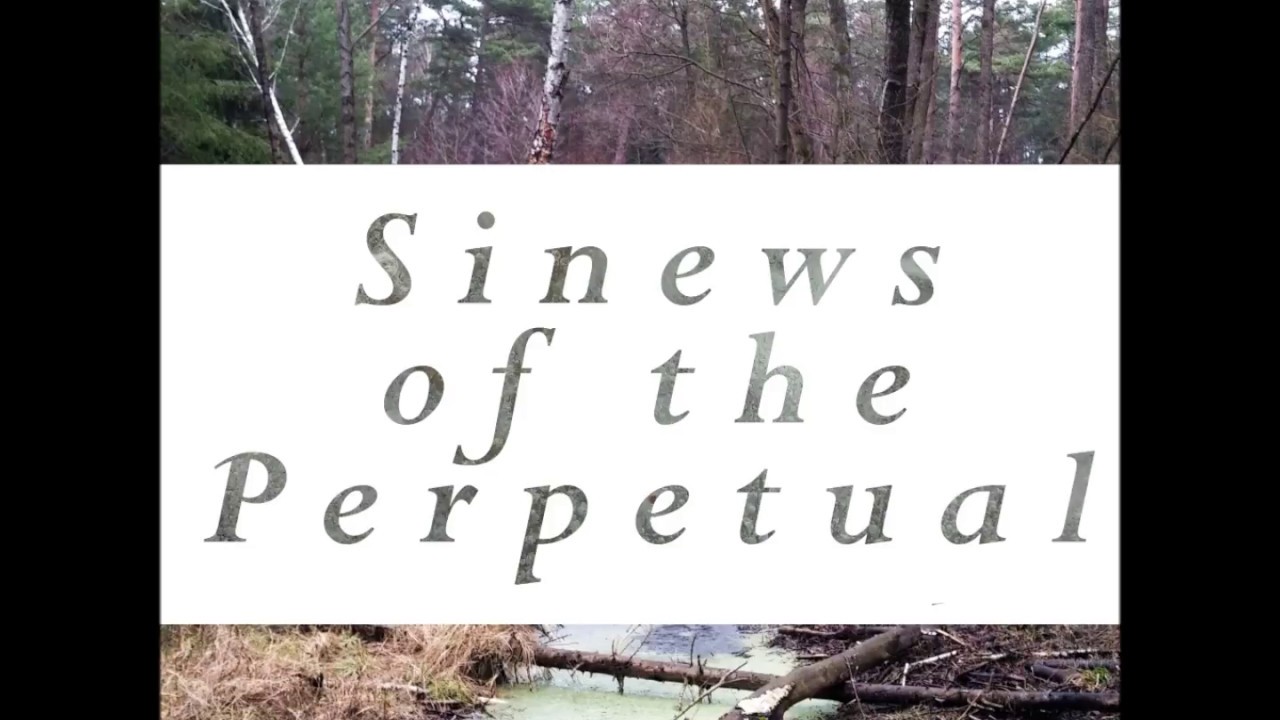 Bruno Janiszewski - Sinews of the Perpetual (Full Album) - YouTube