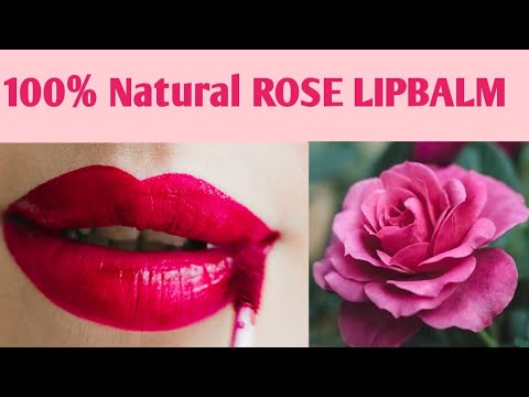 Homemade Lip Balm - Rose Lip Balm - Organic Rose Lip Balm - Pink Lips ...