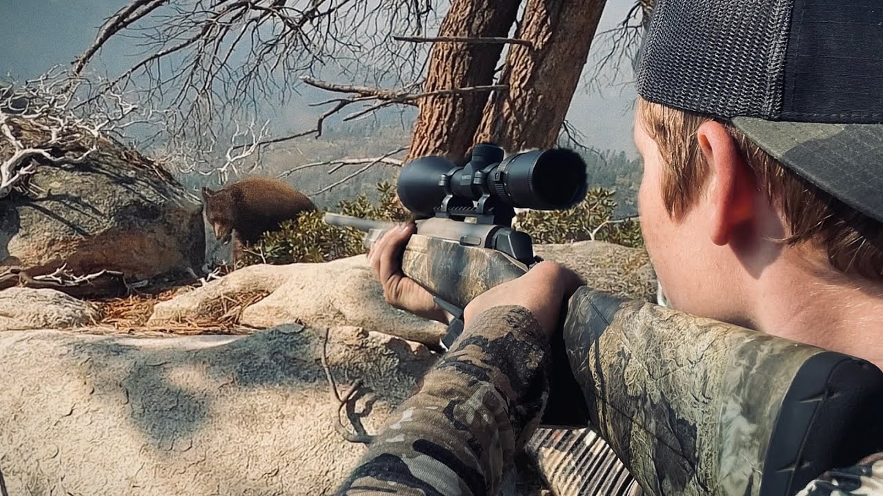 BEAR SHOT AT 15 FEET | CA Wilderness Bear Hunt | 4K Film - YouTube