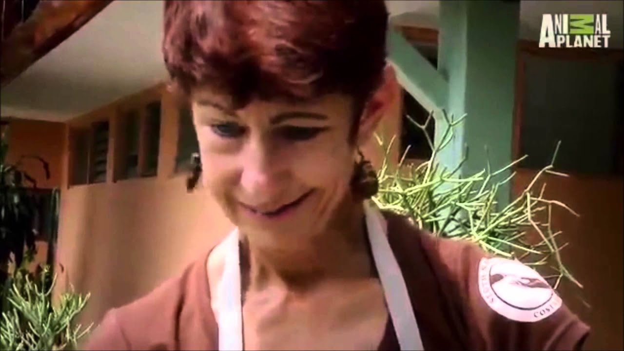 MLG Sloth 2: Boot Camp - YouTube