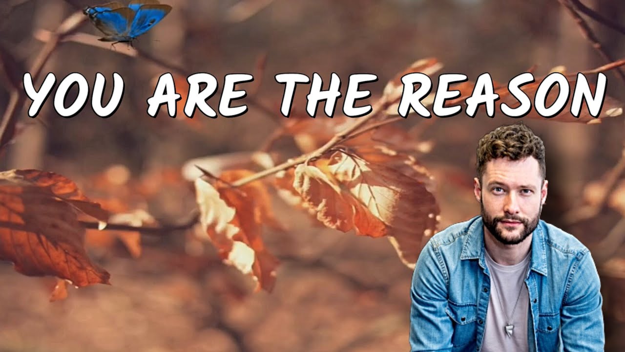 Calum Scott - You are the reason (Lyrics) - YouTube