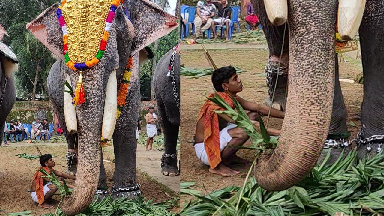 puthuppaly sadhu & koppam jishnu & guruvayoor indrasen e - YouTube