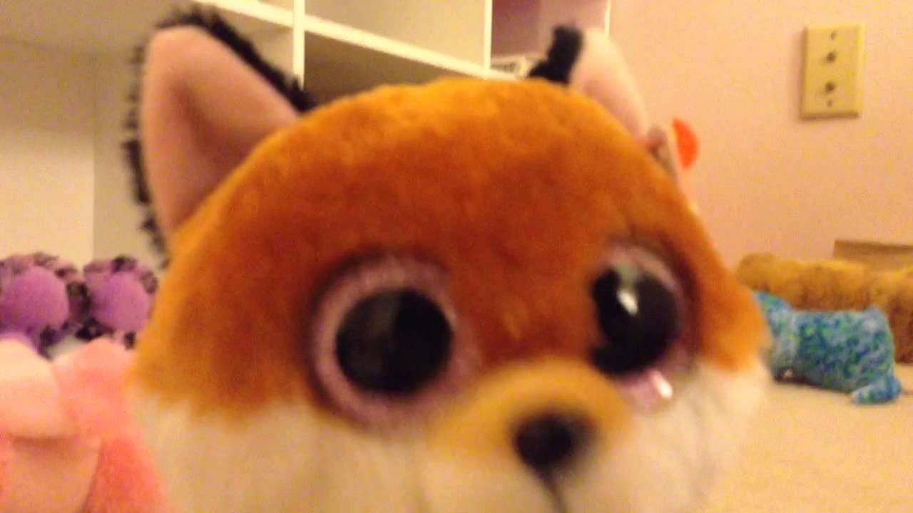 What Does The Fox Say Beanie Boo Version YouTube what-does-the-fox-say-beanie-boo-version-youtube