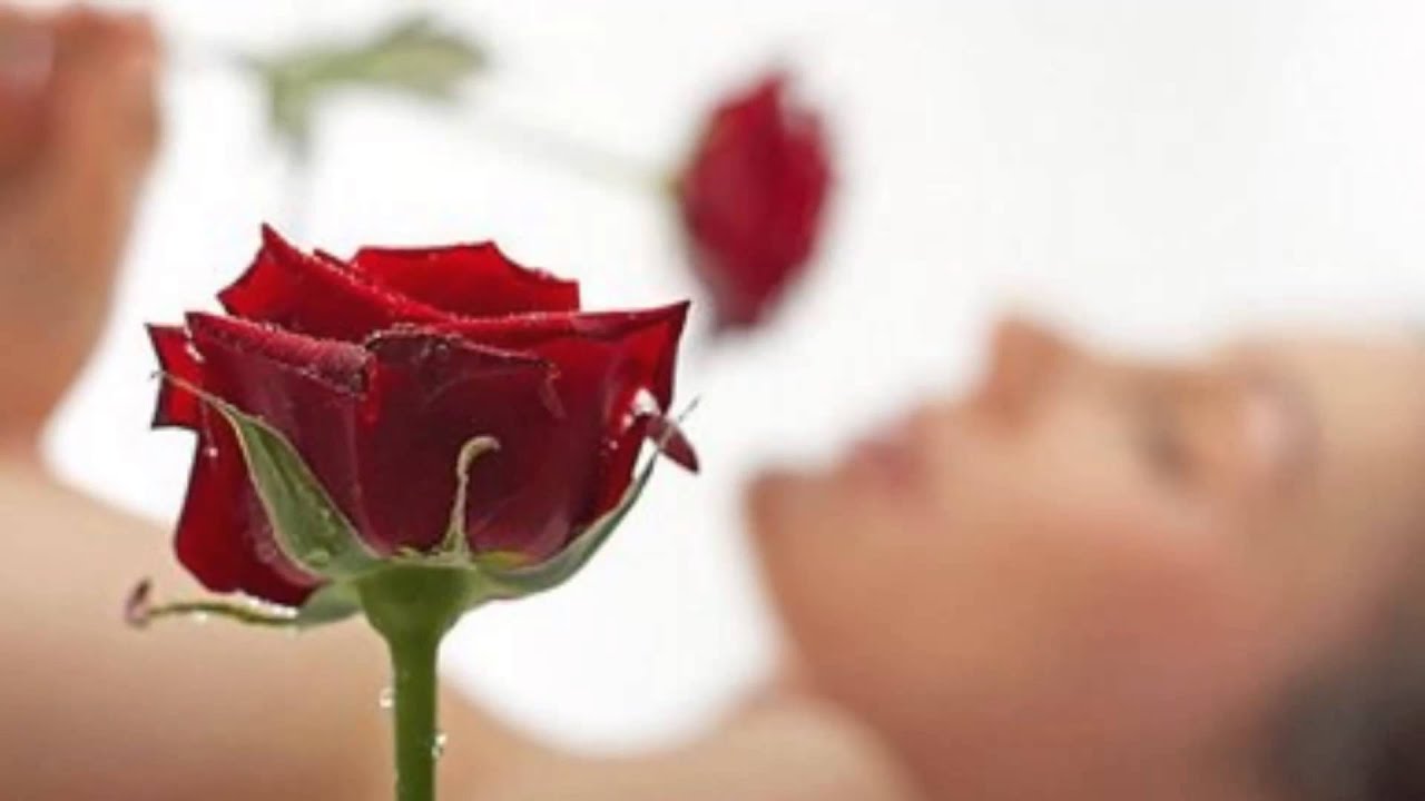 Vuelve ( Ricky Martin ) - YouTube