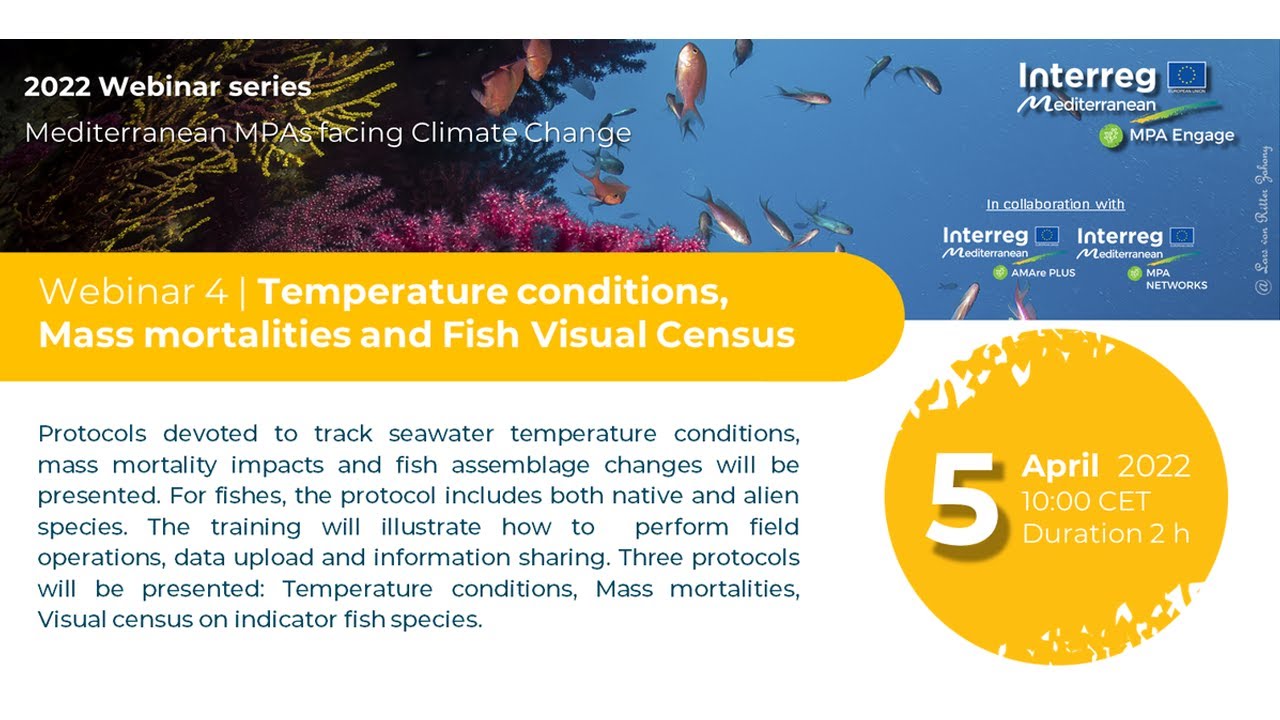 Session 4: Temperature conditions, mass mortalities and fish visual ...