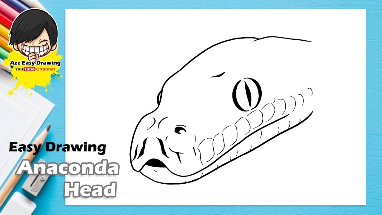 Easy Drawing Anaconda Head - YouTube