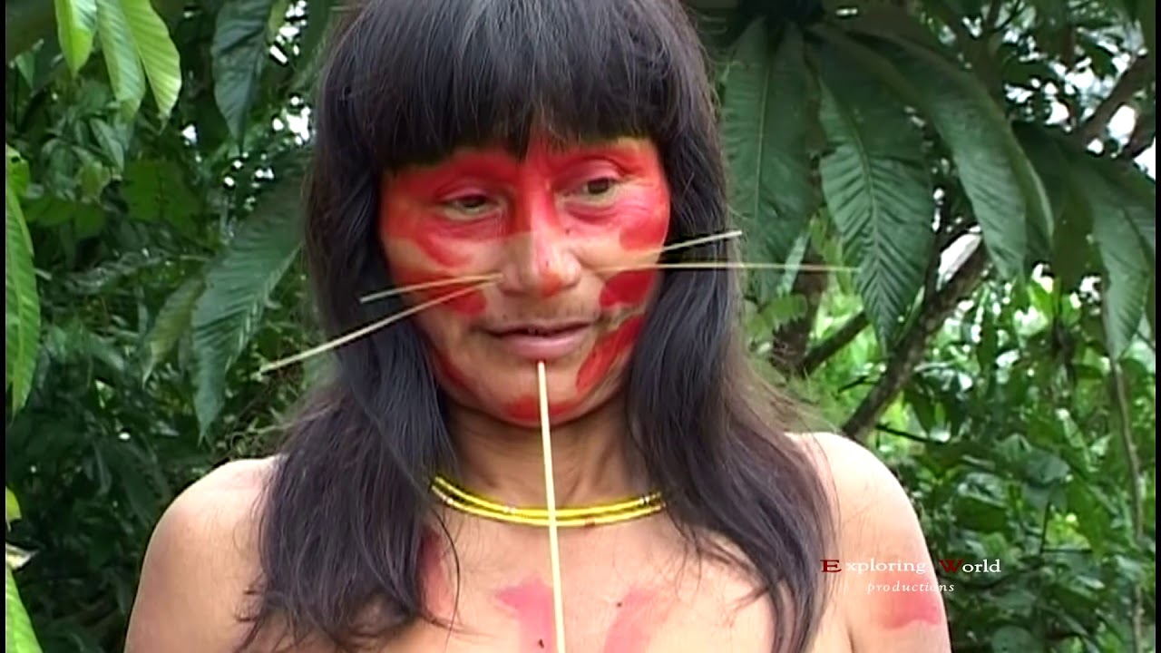 Isolated jaguar tribe between Peru Brazil Very remote forest Sapo drug ...