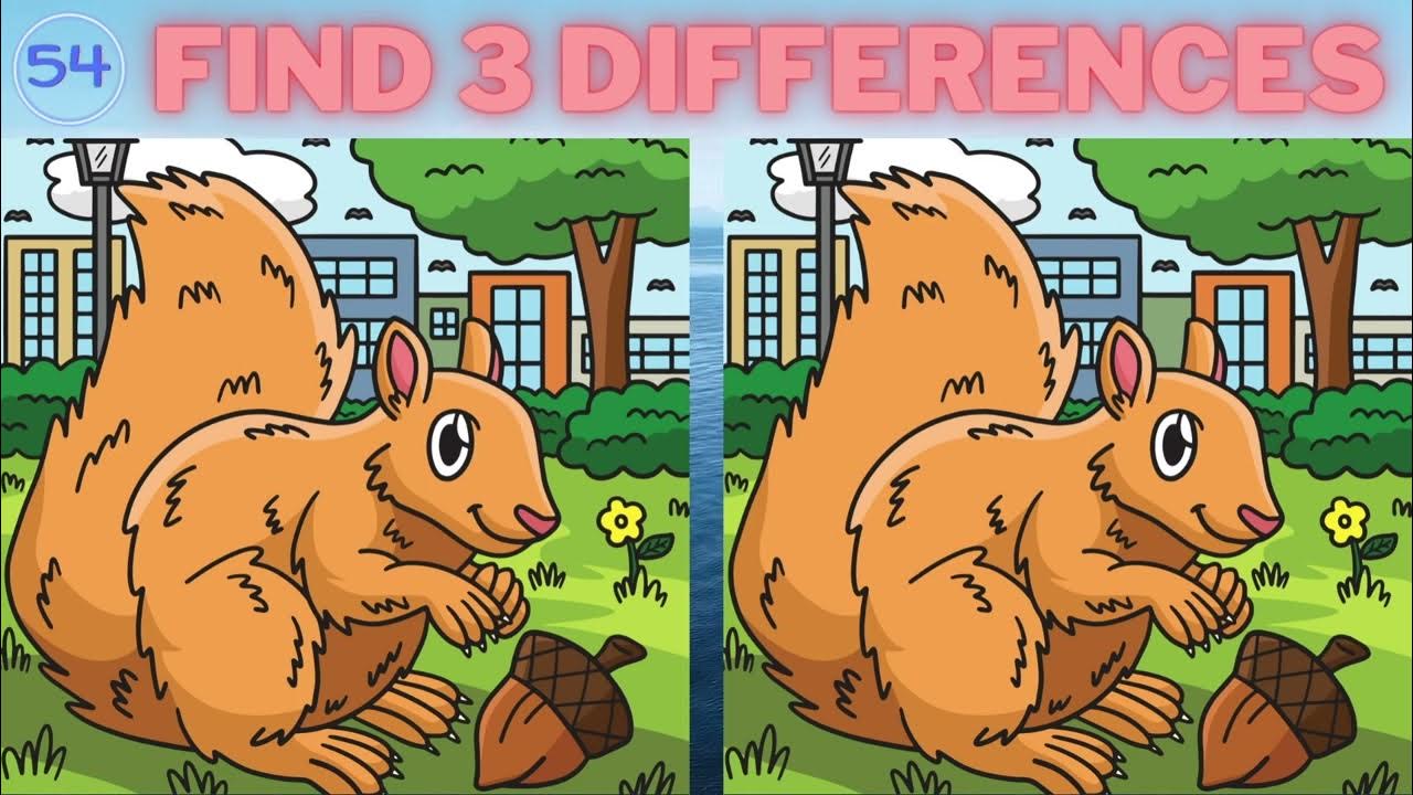 Find 3 Differences | Exercise Your Brain | Video 779 - YouTube