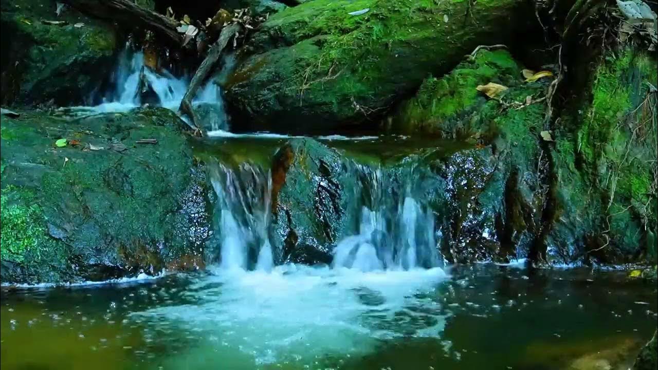 HEALING MUSIC - Waterfall Sounds & Relaxing Piano 🌿 Meditation & Yoga ...