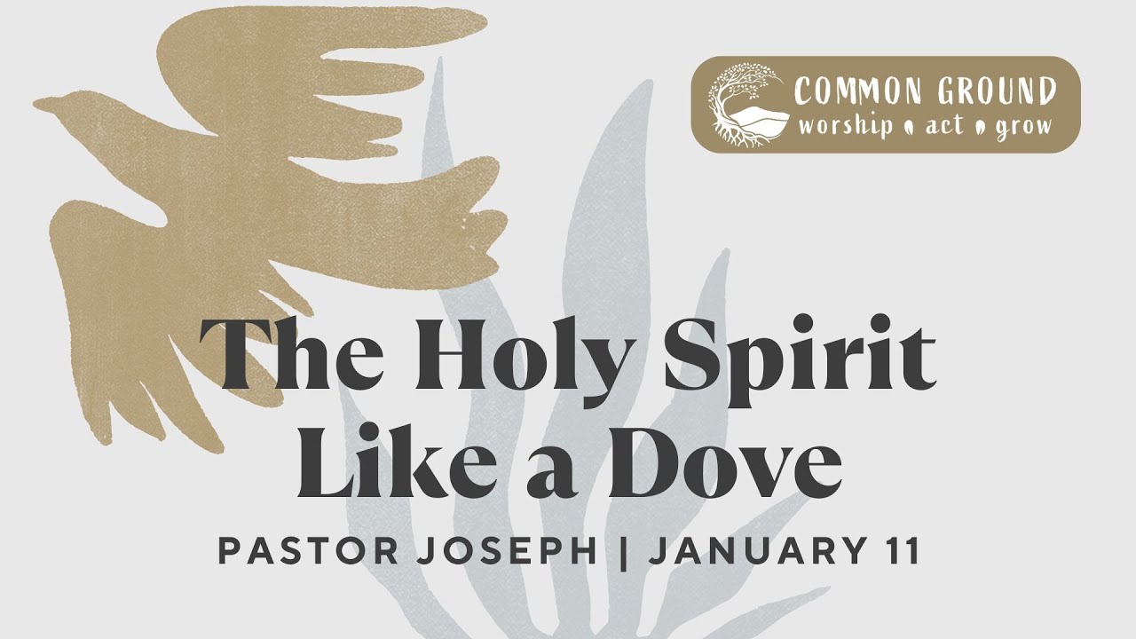 Baptism of our Lord: "The Holy Spirit Like a Dove" - 01/11/26 Common ...